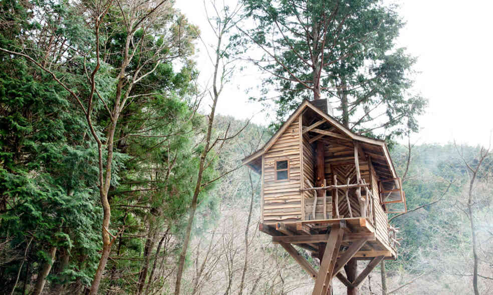 Treehouses in Japan - Lloyd's Blog