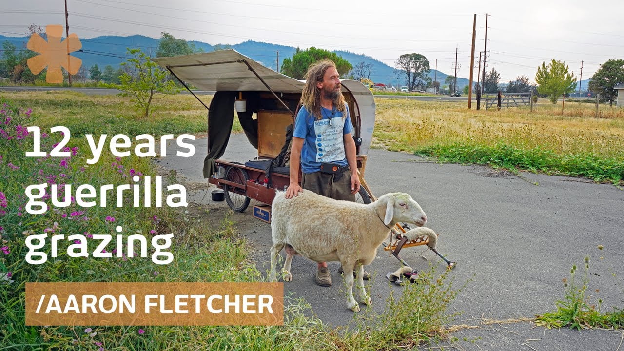 Traveling Shepherd with Ingenious Shelter in Oregon - Lloyd's Blog